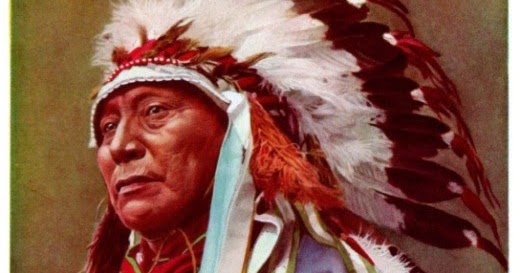 Native Americans : The Cherokee Tribe