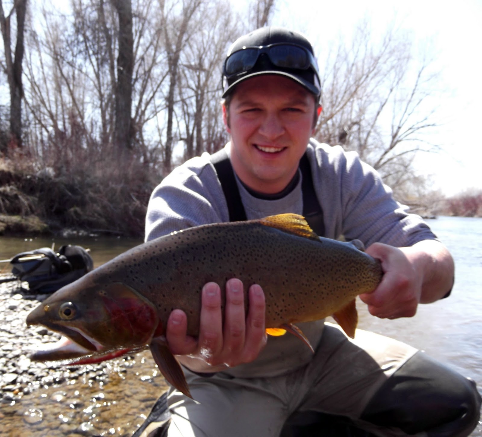 Central Pa Trout Bum Central Pa Trout Bum