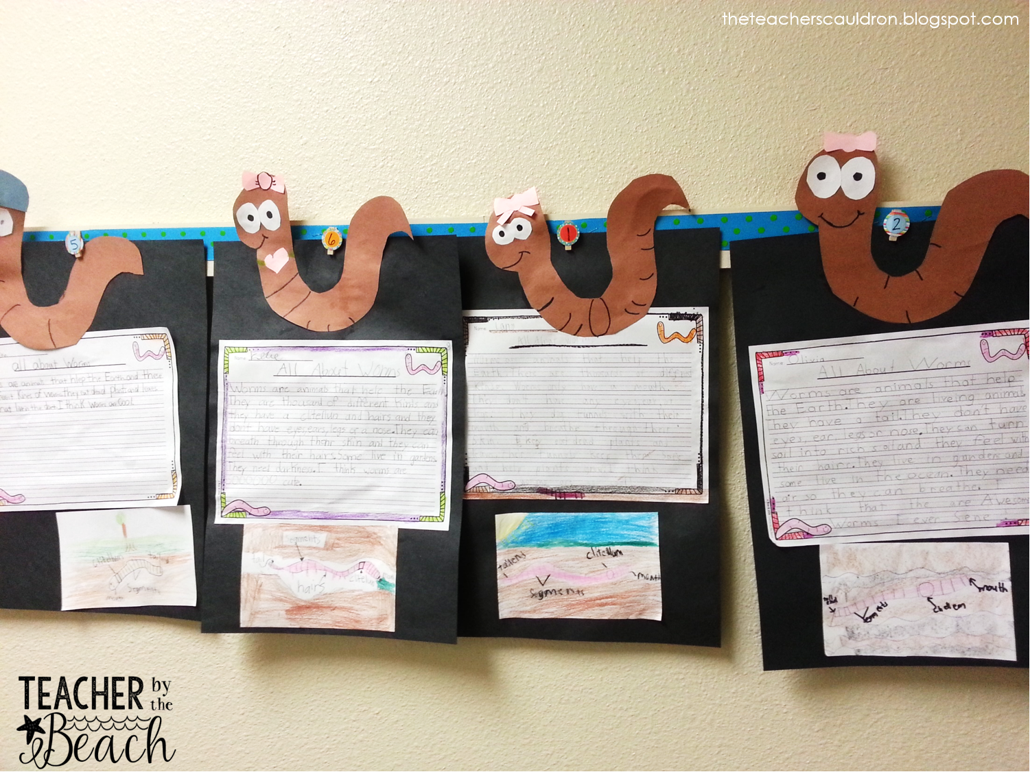 All About Worms! | The Teacher's Cauldron | Bloglovin’