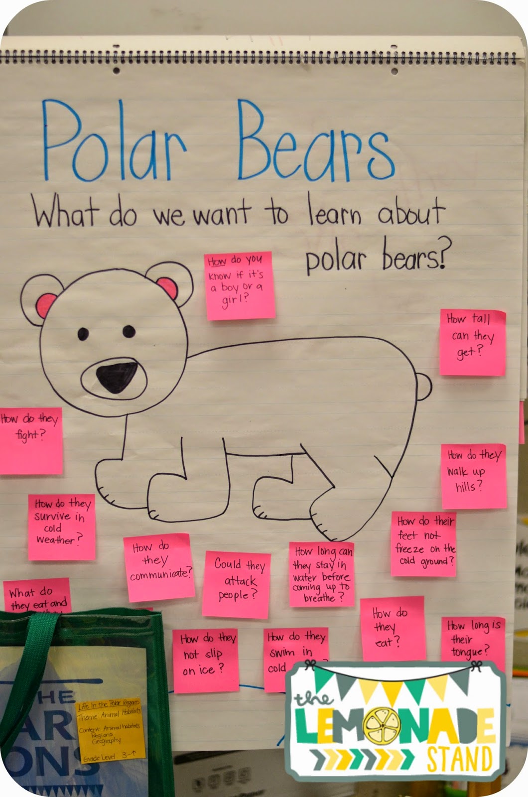 Check For Understanding Anchor Chart