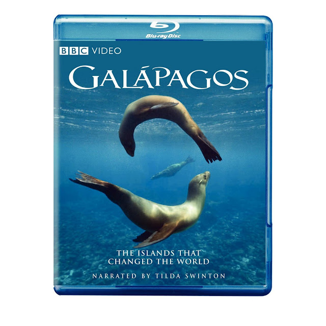 BBC - Galapagos ~ Store Free Download Movies