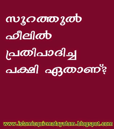 Malayalam Islamic General Questions And Answers Islamic Quiz Malayalam malayalam-islamic-general-questions-and-answers-islamic-quiz-malayalam