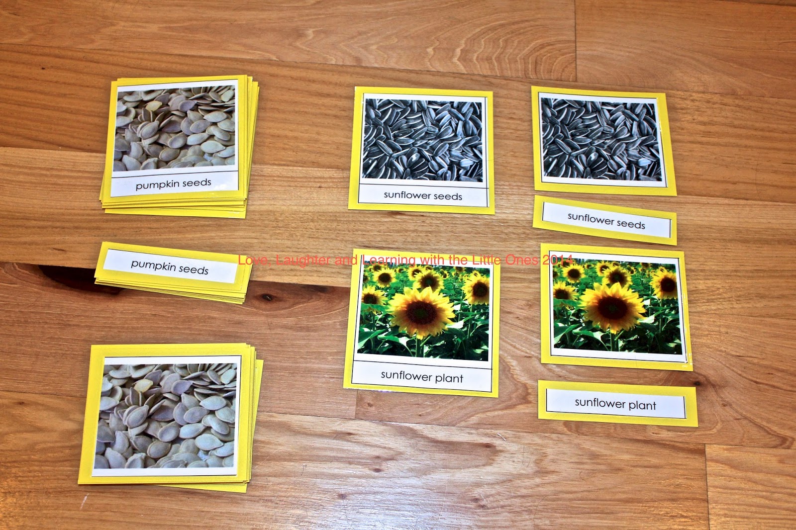 Love, Laughter and Learning with the Little Ones: Seed and Plant Matching