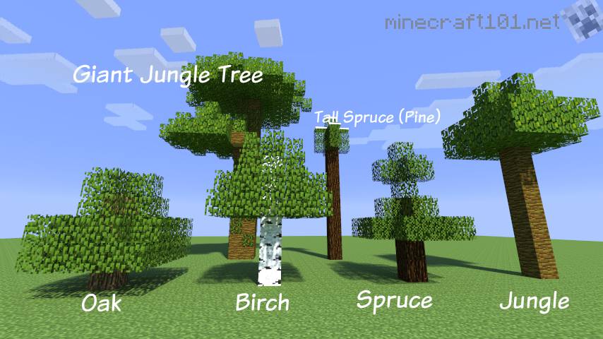 Th ng Tin C y C i Trong Minecraft MinecraftSmiles th-ng-tin-c-y-c-i-trong-minecraft-minecraftsmiles