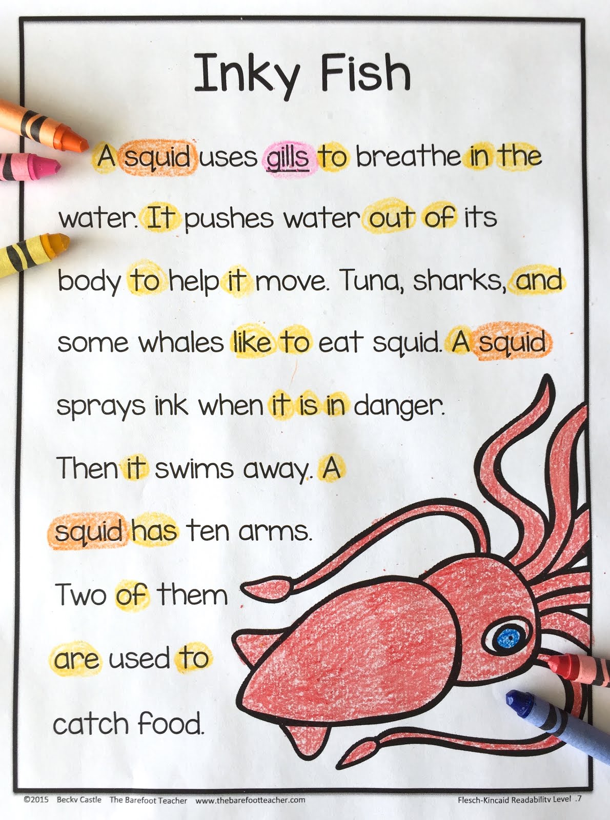 Ocean Themed Reading Comprehension Pack Plus a FREE DOWNLOAD | The ...