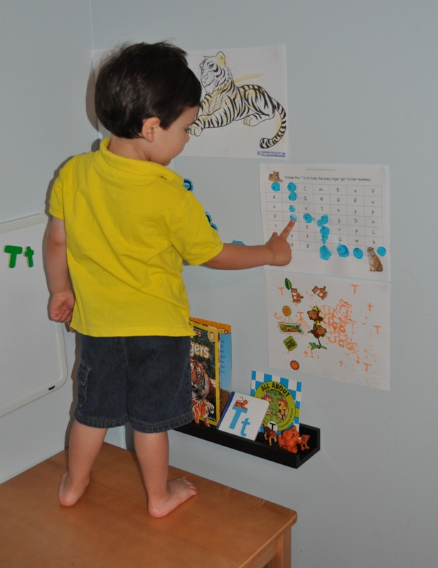 Memorizing the Moments: T for Tiger