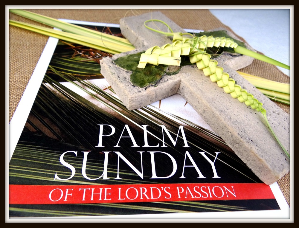 The Nest at Finch Rest: Palm Sunday - Devotional