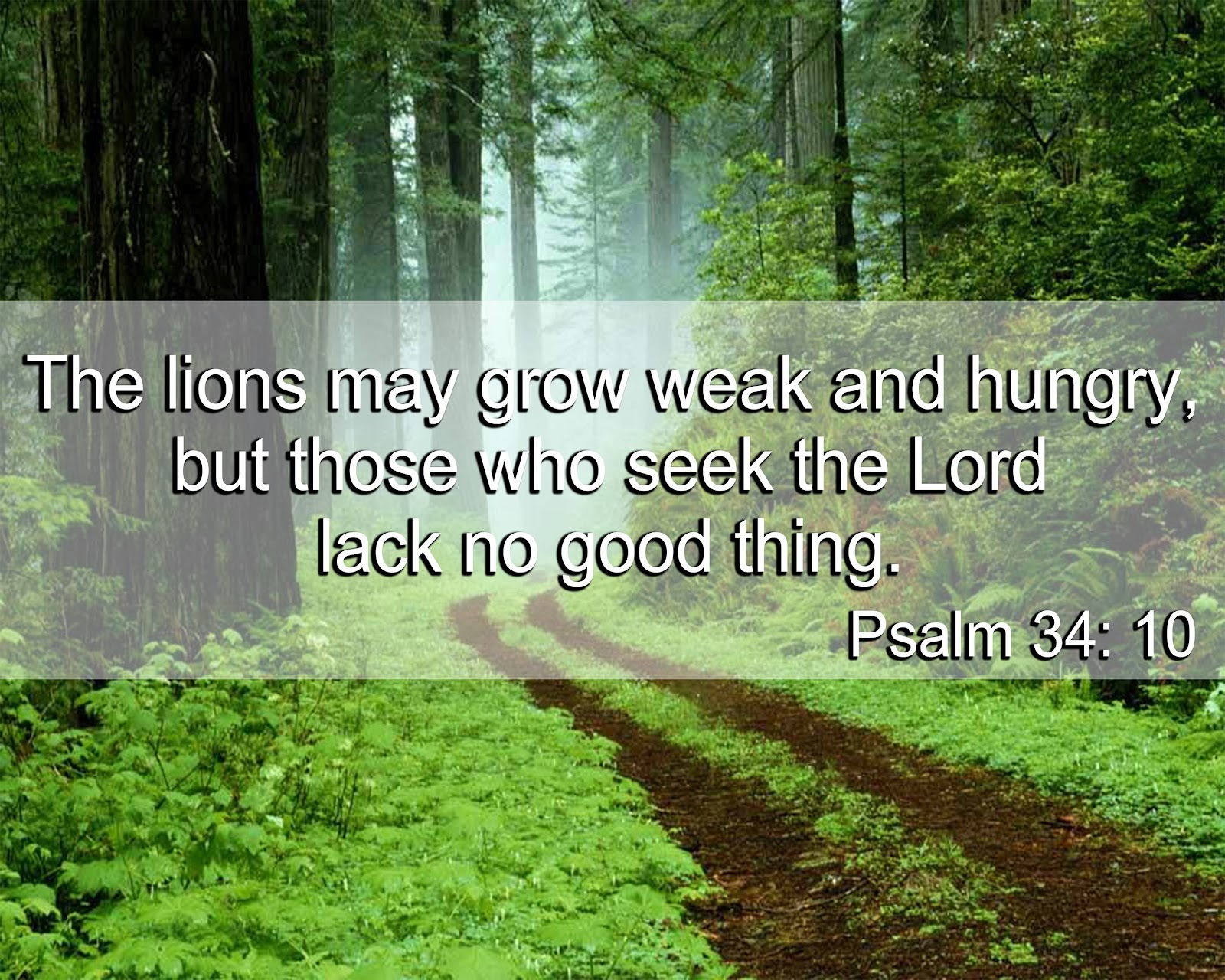 Verse Of The Day Psalm 34 10 verse-of-the-day-psalm-34-10