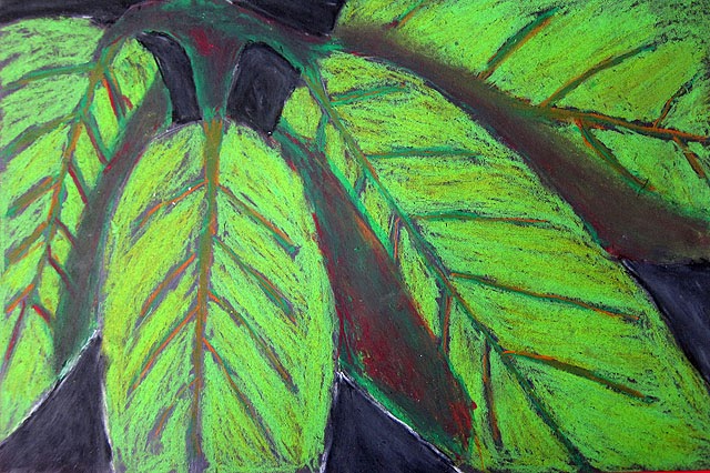 Mr. Bob's Middle & High School Art Room: Oil pastel leaves Middle ...
