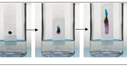 Procedure of Paper Chromatography