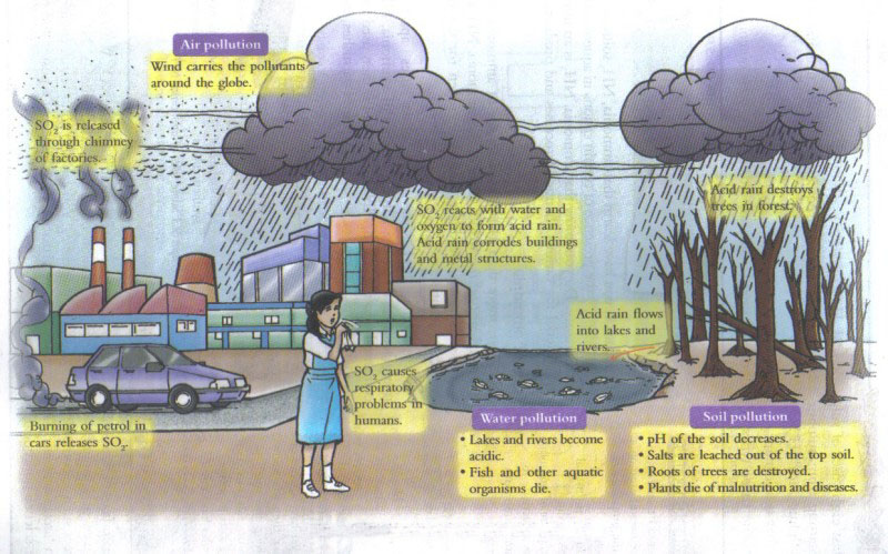 Know More About the Acid Rain Phenomenon