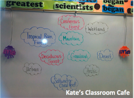 Ecosystem Splat Game - Captivate Science
