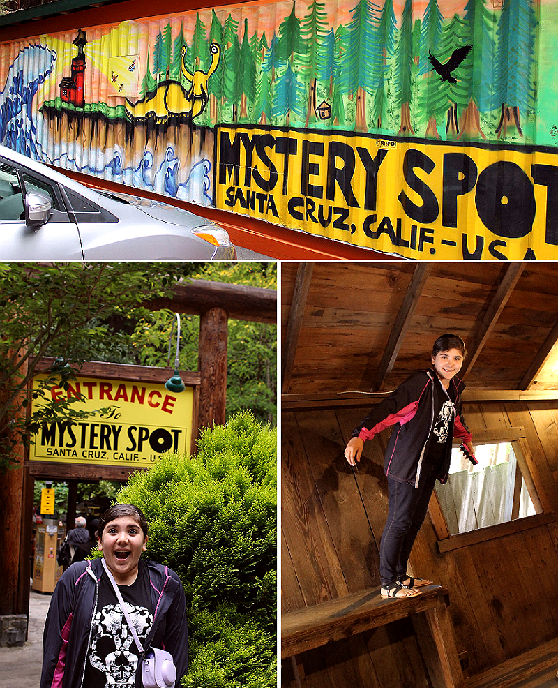 Momma Told Me: Summer Twists- Road Trip DIY + The Santa Cruz Mystery Spot