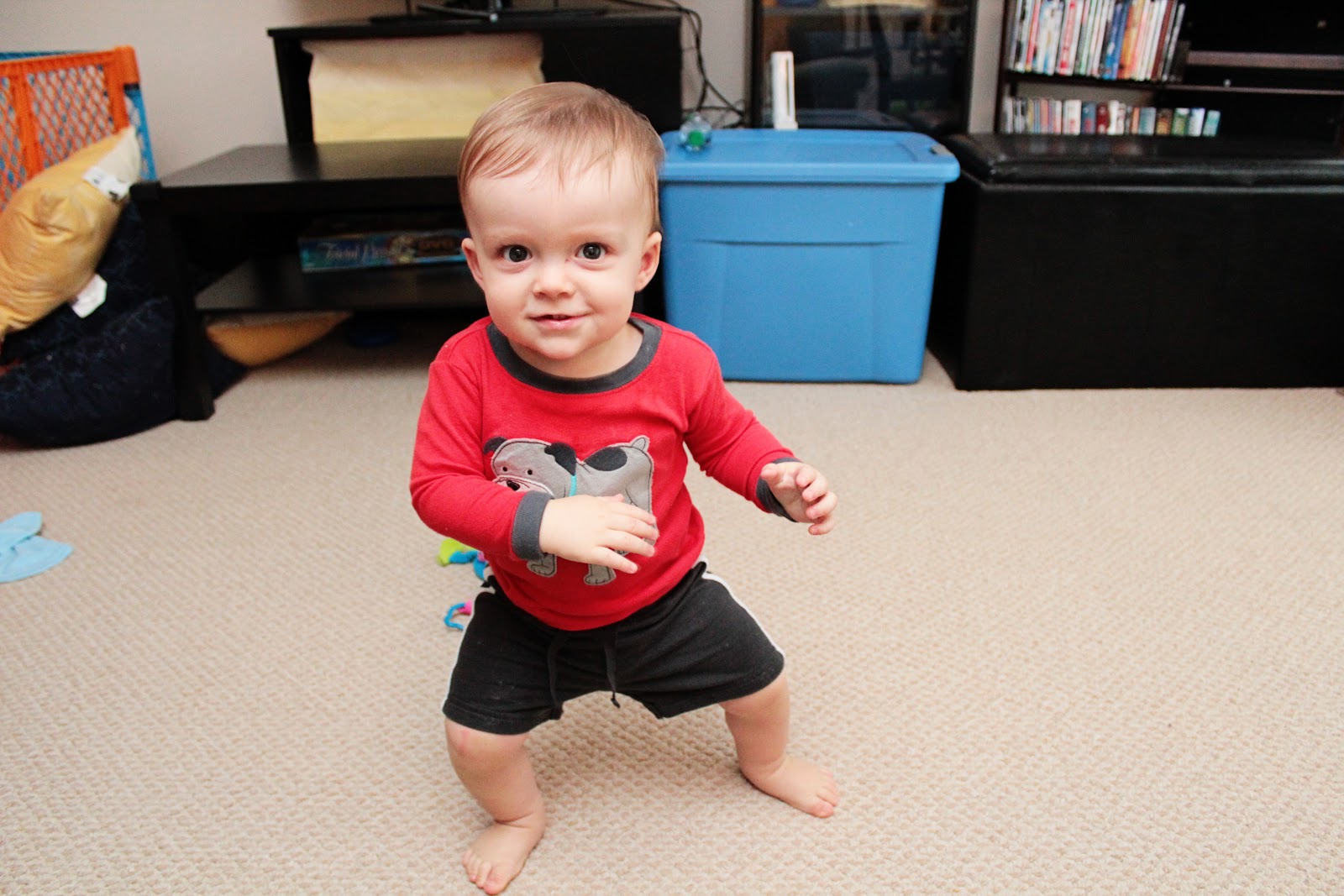 Walking Baby The Accidental Wallflower walking-baby-the-accidental-wallflower