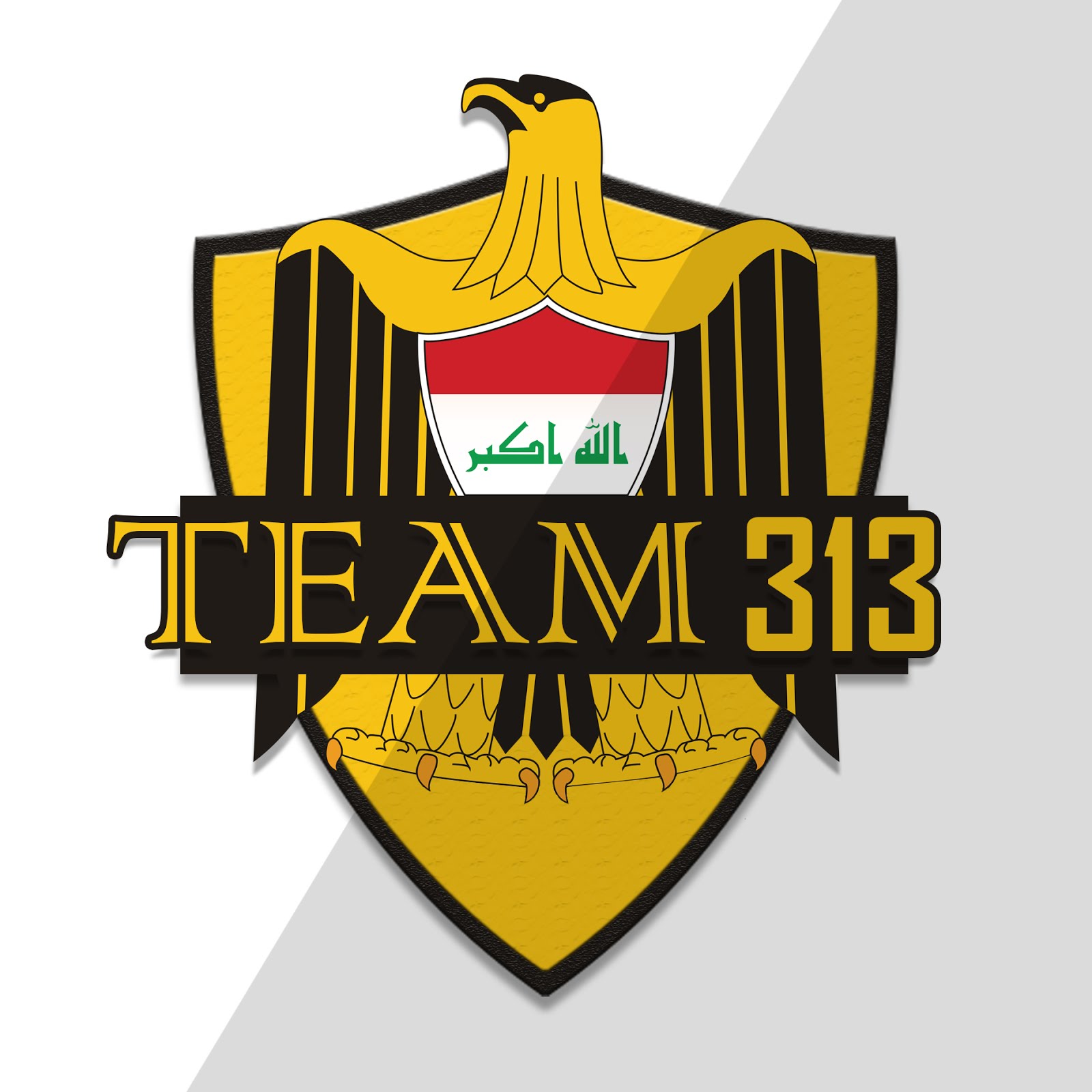 Iraqi Team 313