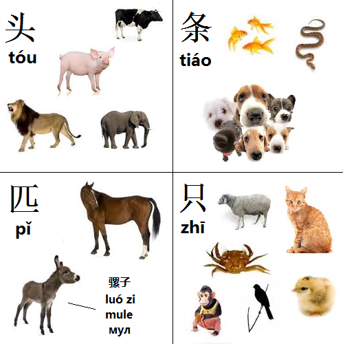 Mandarin Chinese From Scratch: Chinese Measure Words | Счетные слова в ... Mandarin Chinese From Scratch: Chinese Measure Words | Счетные слова в ...