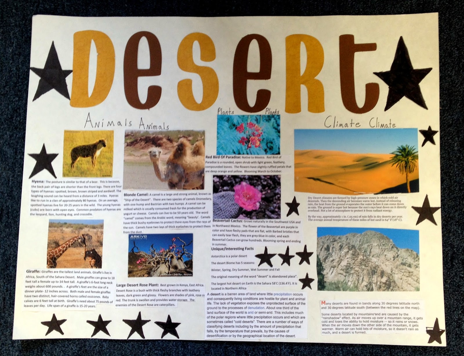 Let's Learn About BIOMES! - ~Joy in the Journey~