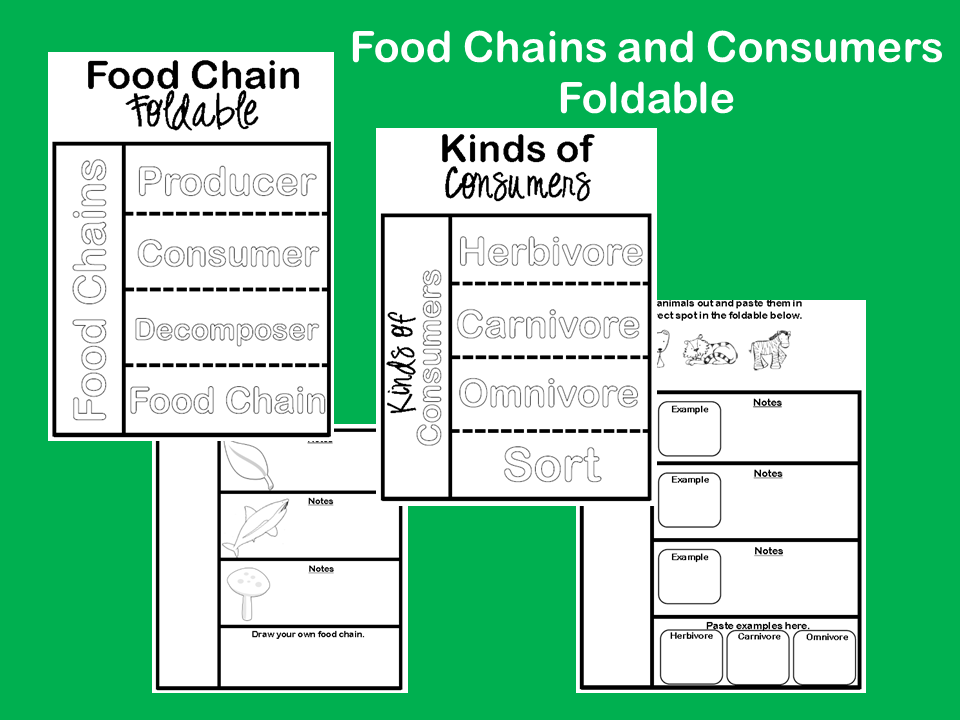 Food Chains and Consumers Foldable - Classroom Freebies