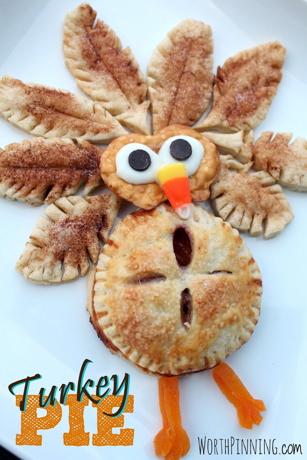 Worth Pinning: Turkey Pie