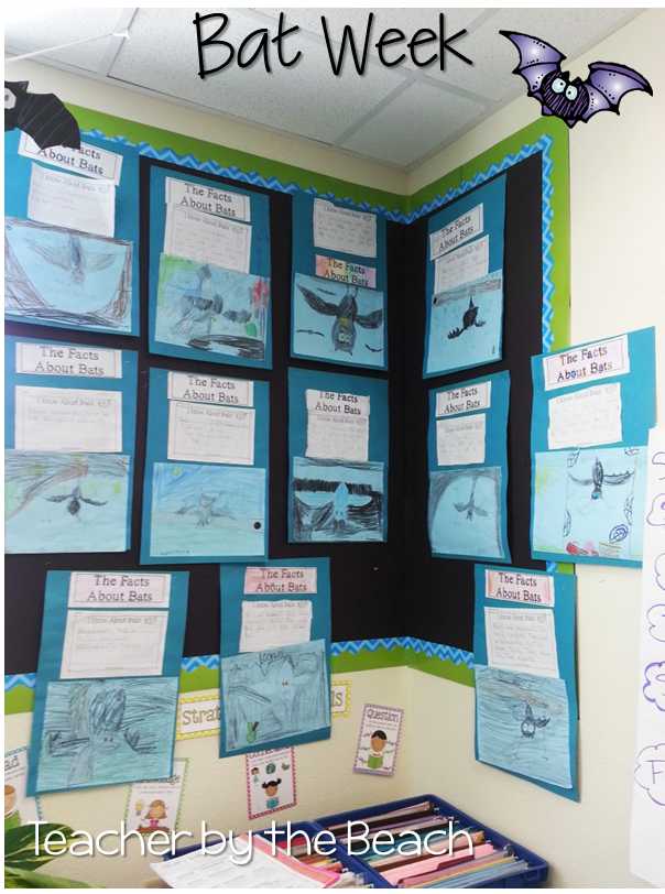 Planning for Bat Week - Teacher by the Beach