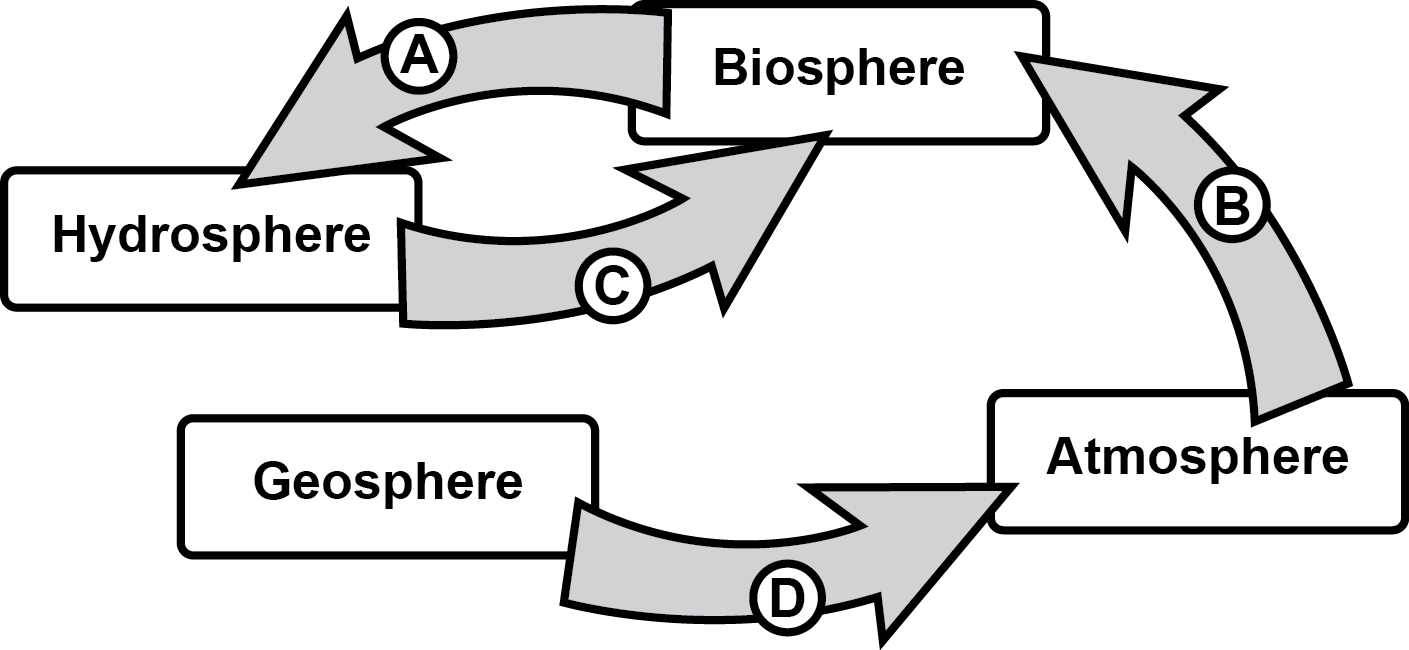 NGSS Assessment Clarification: HS - ESS2.D (B) - Biogeochemical Cycles ...