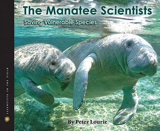 The Nonfiction Detectives: Manatees and Manatee Calves