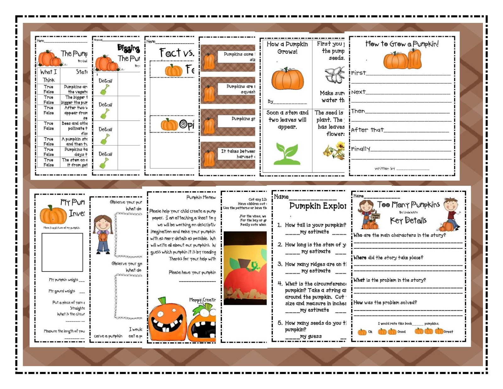 Pumpkin Investigating! - Megan Mitchell