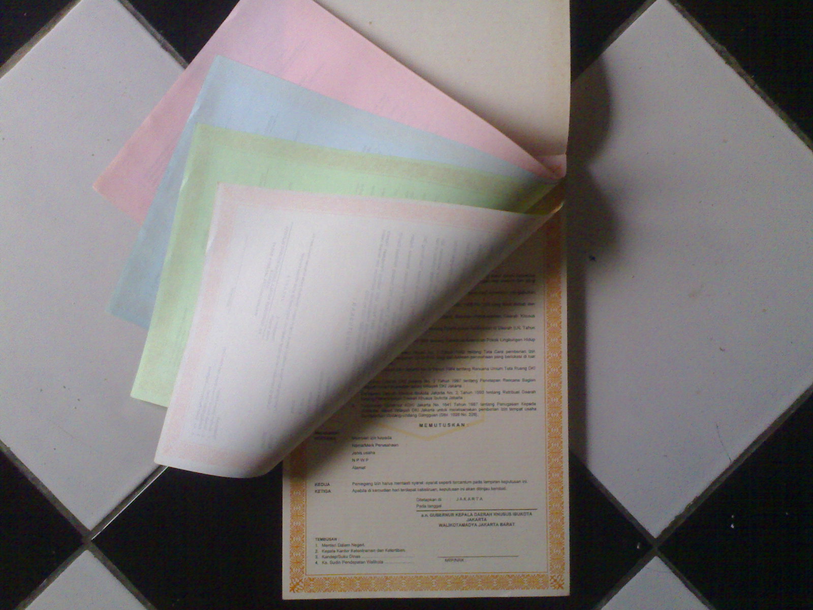 Pengertian SKN | PPTX