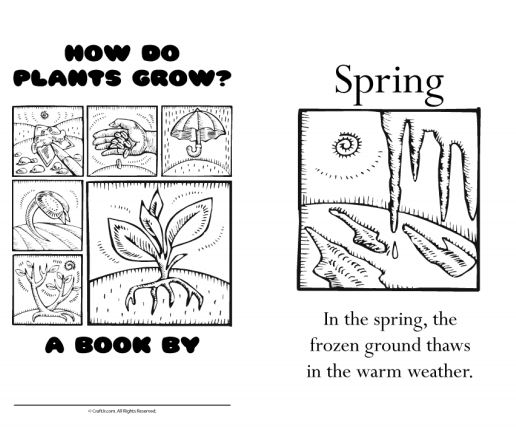 Spring Book 10: The Tiny Seed - Mom Envy