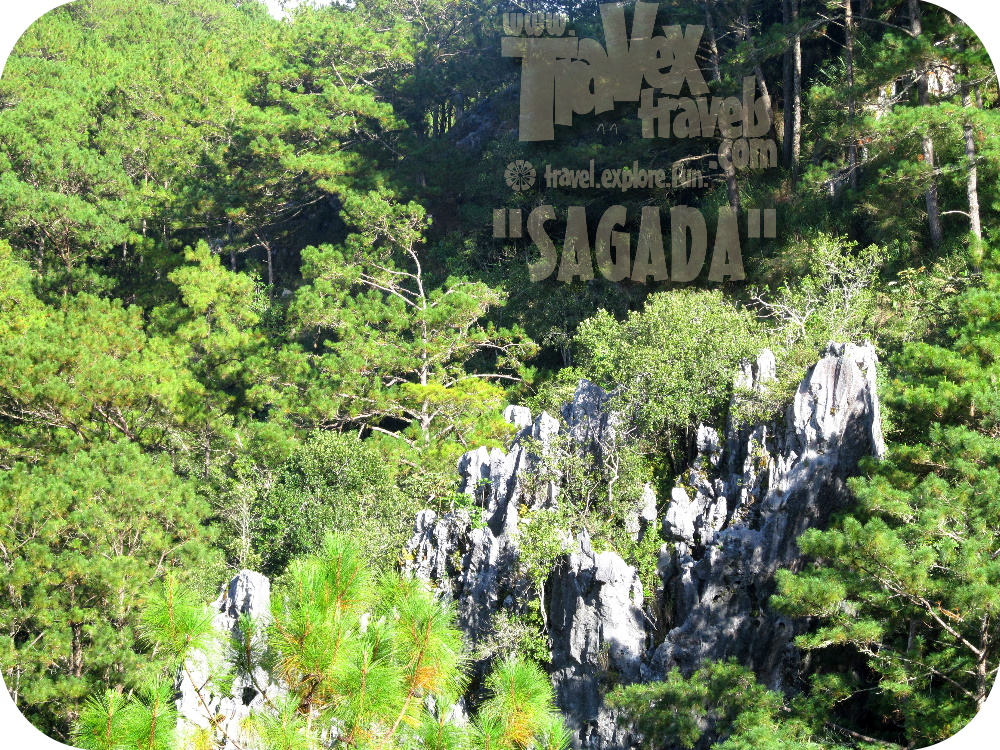 Shout Your Dreams to Echo Valley, Sagada - Travex Travels - Travel. Explore. Fun in PH