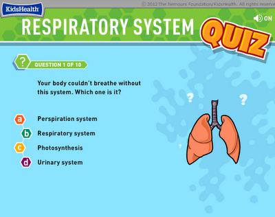 Mrs. Eva's 4th and 5th grade class: RESPIRATORY SYSTEM QUIZ