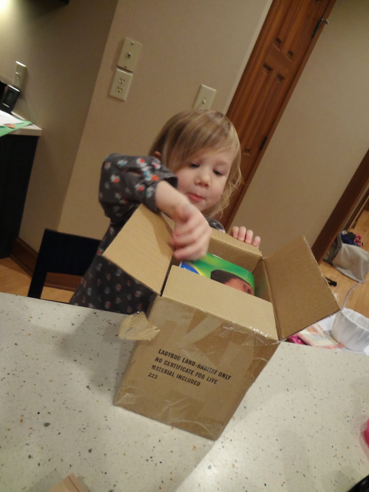 Get Buggy with Insect Lore Review and Giveaway - Mommy's Block Party