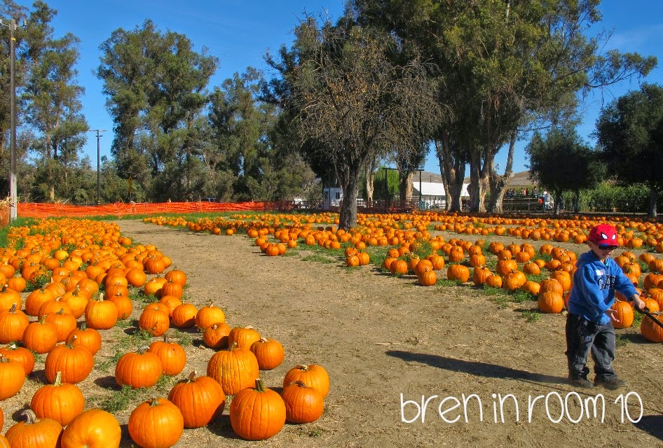bren in room 10 : Pumpkin Patch/Giants/Freebies