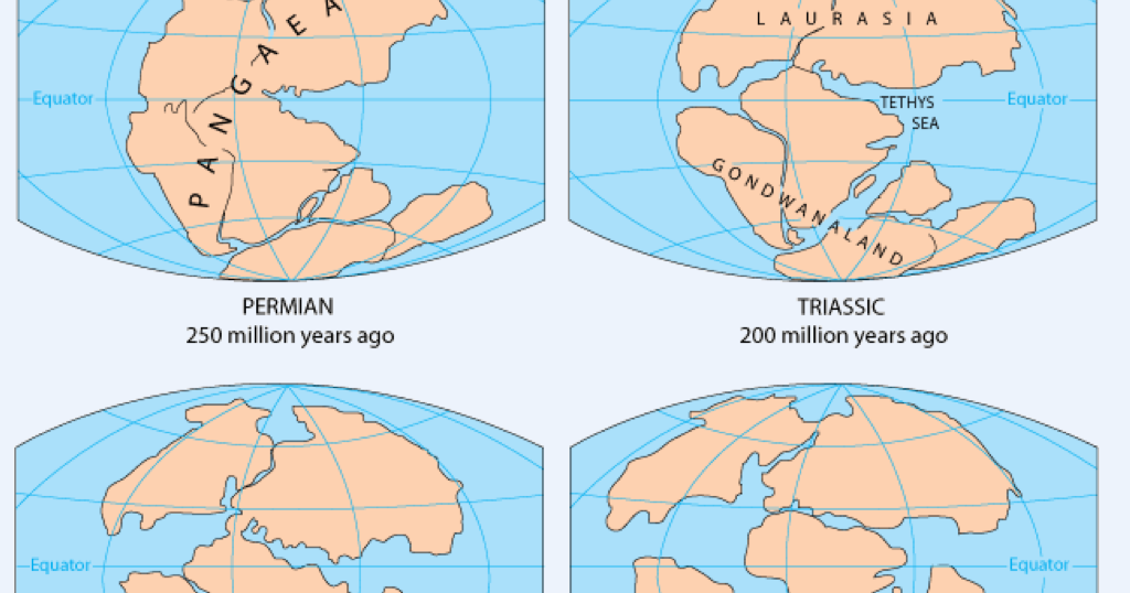 Mr. Forde - Life Science: Continental Drift