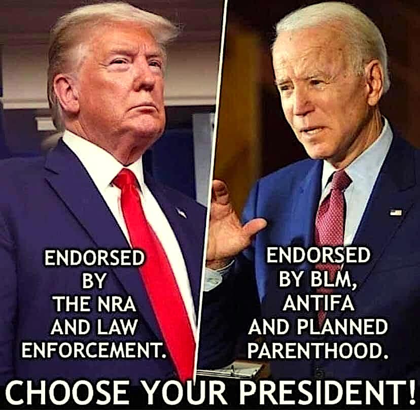 The Choice Is Yours CHOOSE WISELY Wired Right the-choice-is-yours-choose-wisely-wired-right