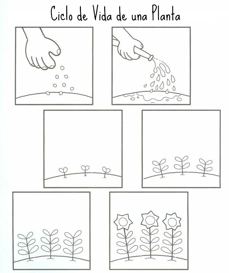 Menta Más Chocolate - RECURSOS y ACTIVIDADES PARA EDUCACIÓN INFANTIL ...