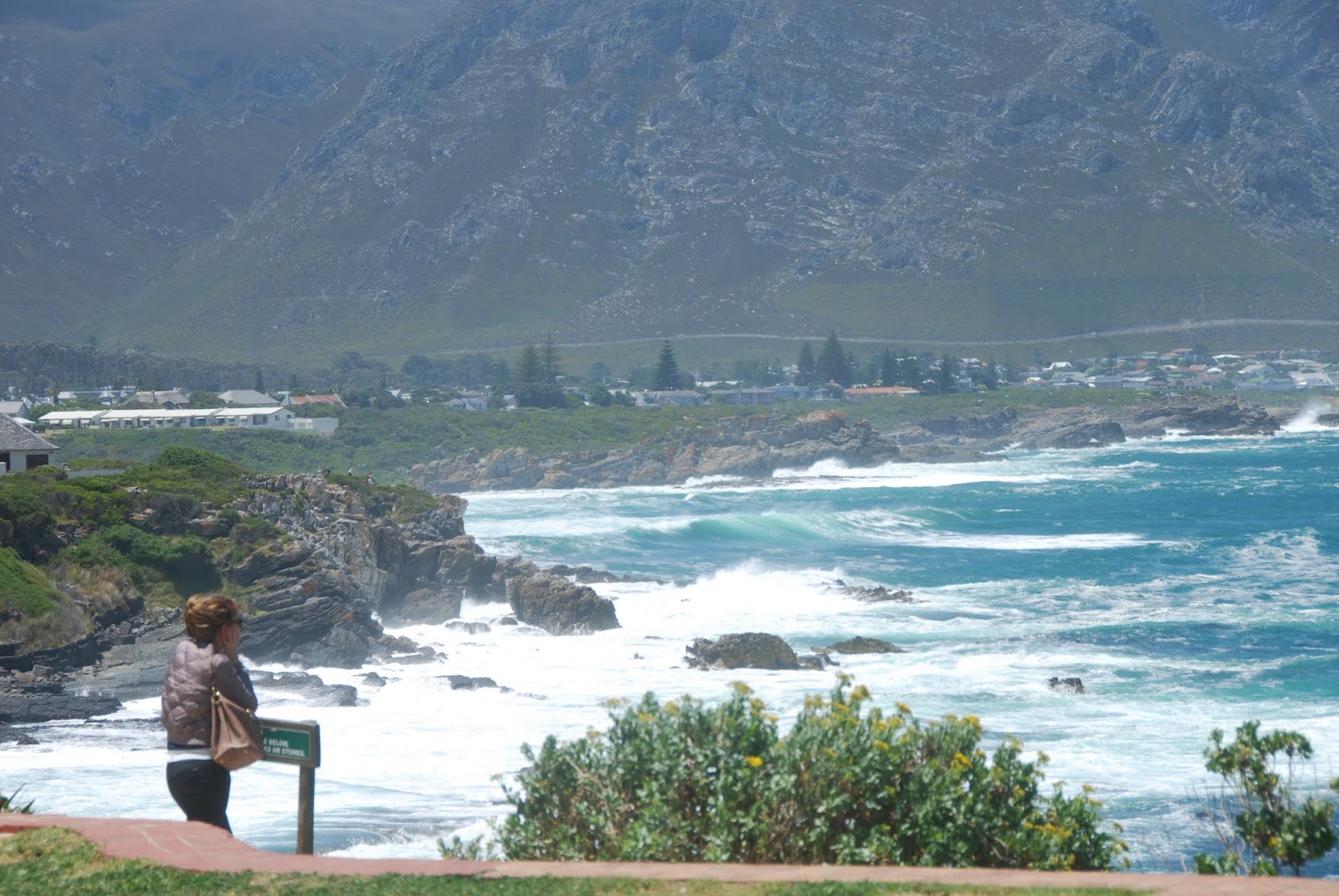 Whale Coast Route, la “Strada delle Balene”
