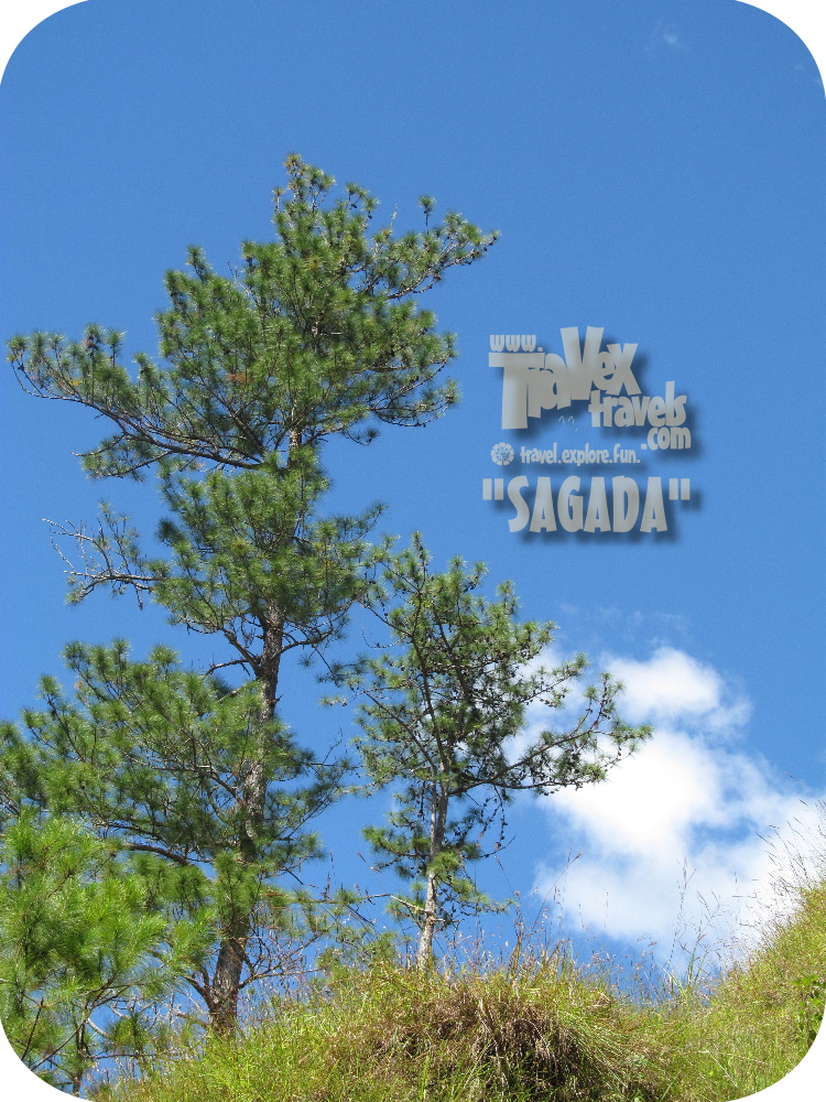 That Simple Town in Mountain Province Called ‘Sagada’ - Travex Travels - Travel. Explore. Fun in PH