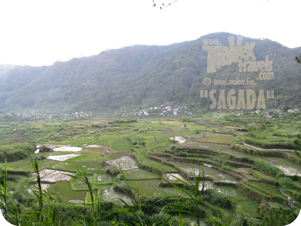 Kapay-aw Rice Terraces in Sagada - Travex Travels - Travel. Explore. Fun in PH