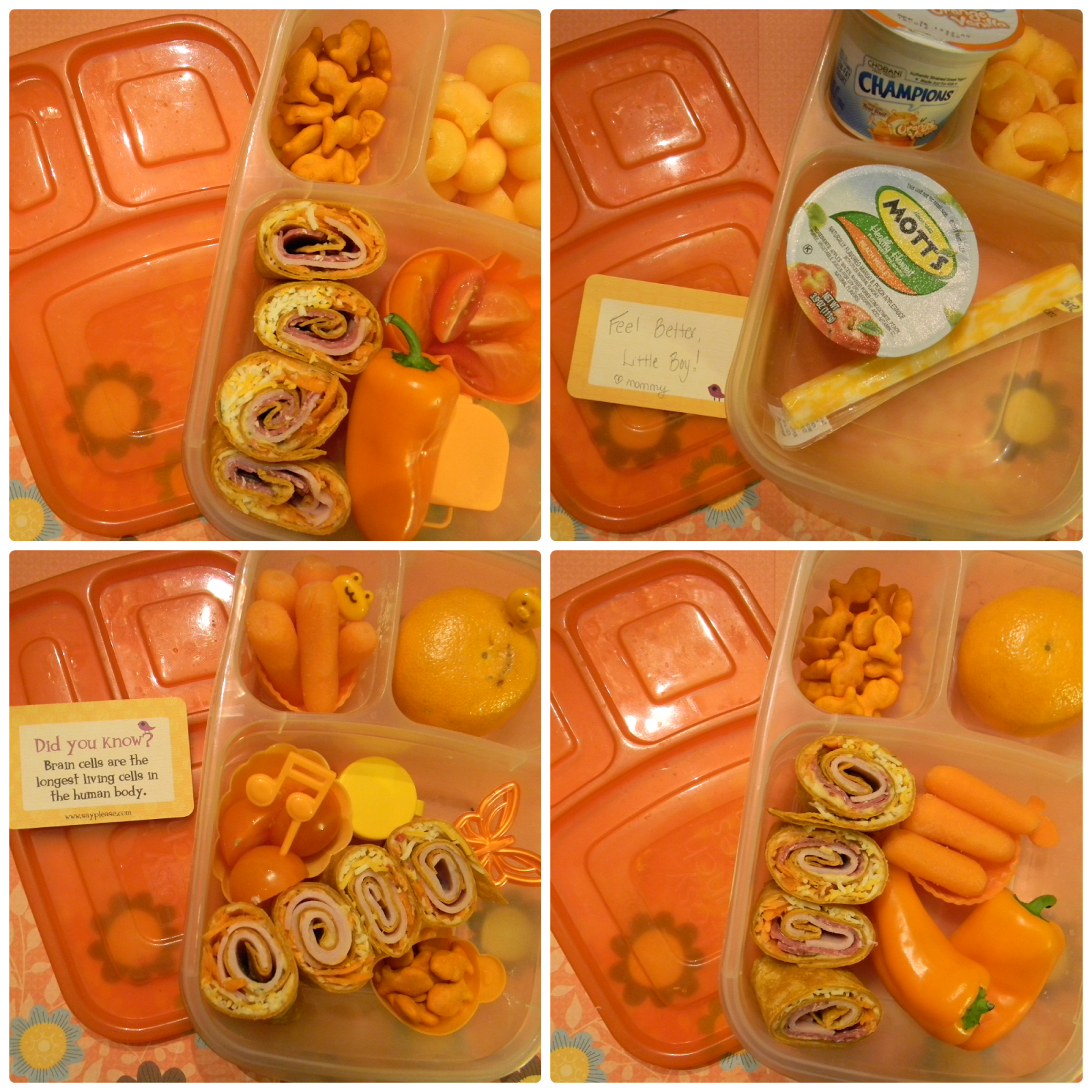 Lunches Fit For A Kid Rainbow Week 3 26 13 Orange Day Family Lunches lunches-fit-for-a-kid-rainbow-week-3-26-13-orange-day-family-lunches