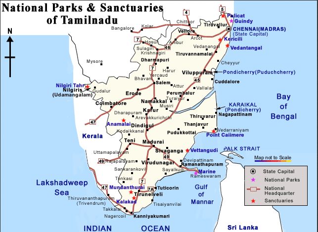 ARUNACHALA BIRDS Tamil Nadu Bird Sanctuaries arunachala-birds-tamil-nadu-bird-sanctuaries