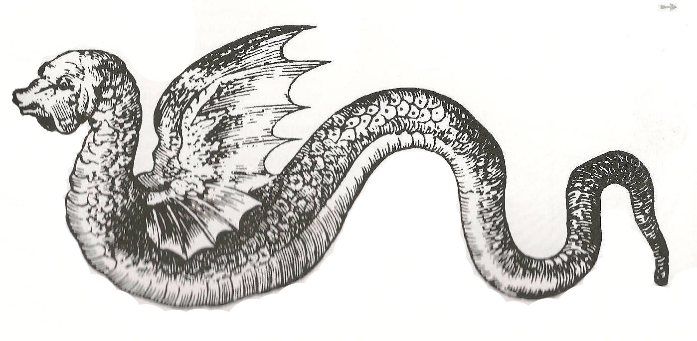 Documenta minima: EL LIBRO DE LOS SERES ALADOS, Daniel Samoilovich