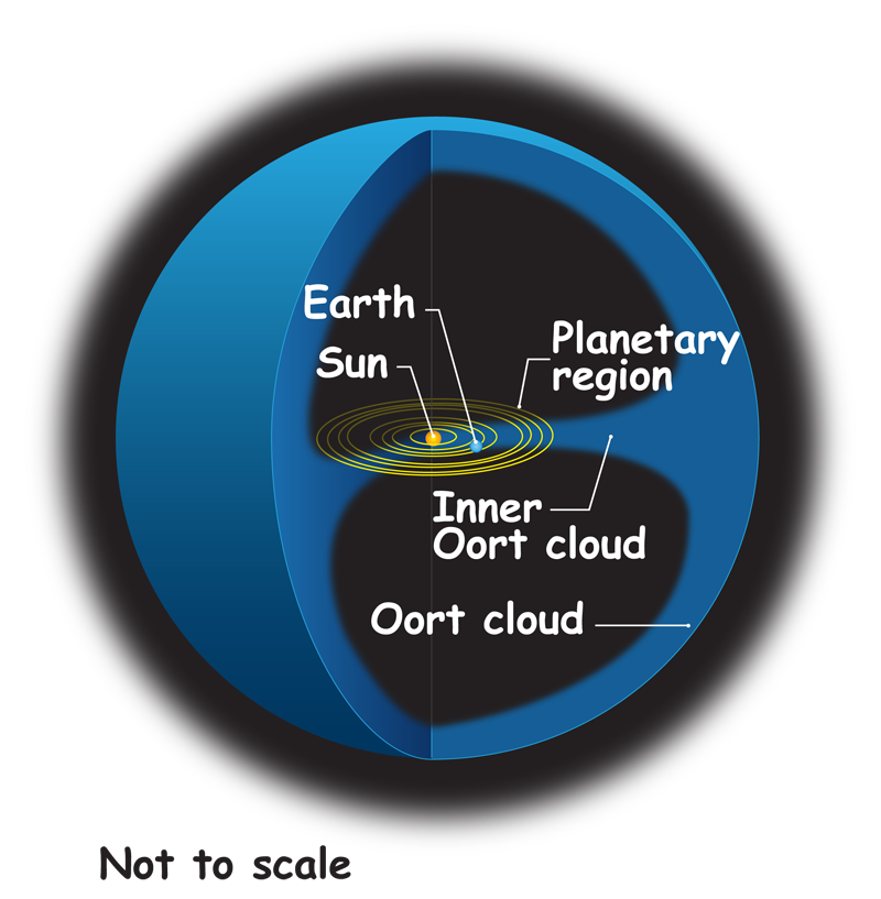 The Oort Cloud