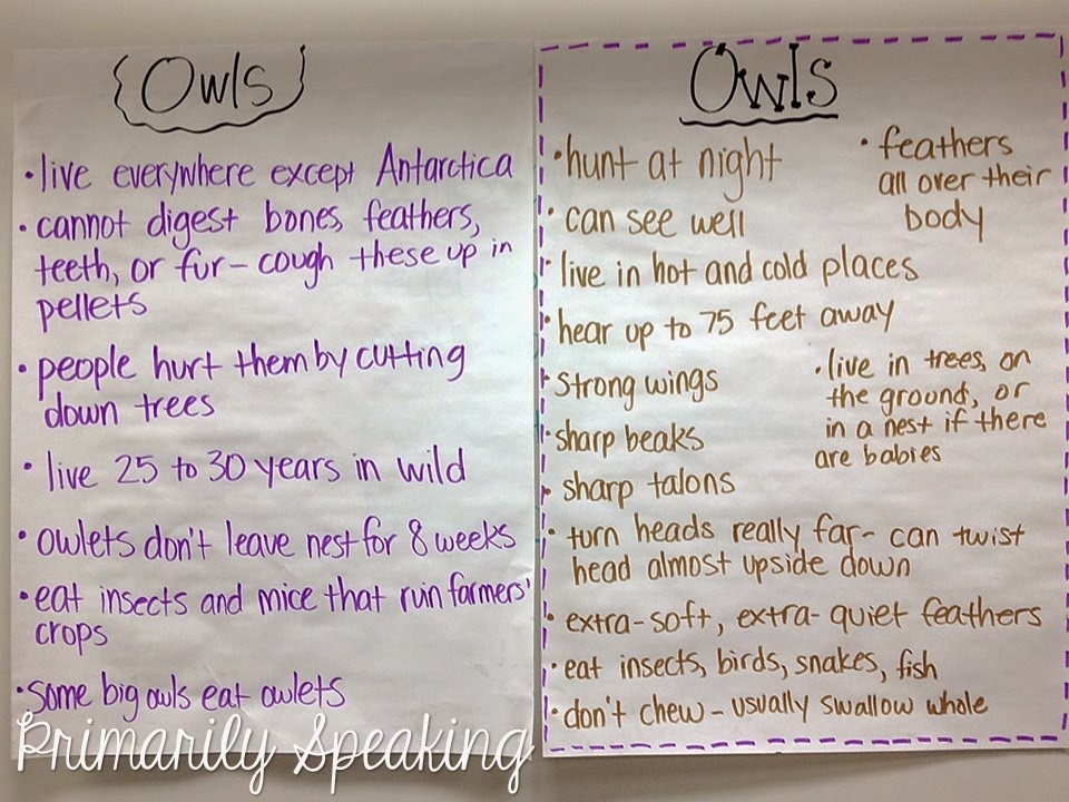 An Owl-tastic Unit of Study! | Primarily Speaking