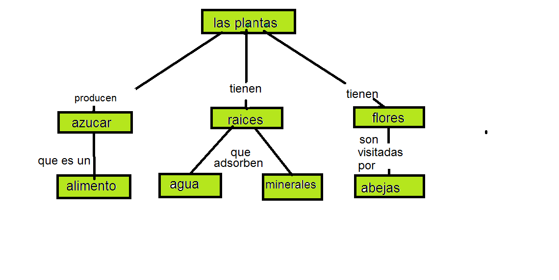 Esquema de las plantas - Imagui