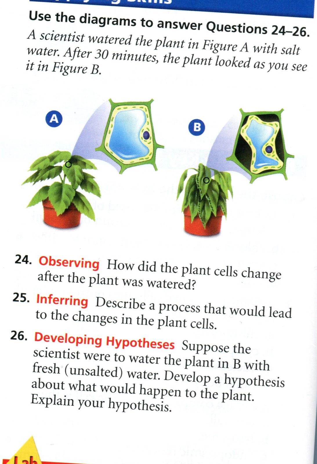 Cuthbert 7th Grade Science Day To Day Wednesday Thursday 20 21st cuthbert-7th-grade-science-day-to-day-wednesday-thursday-20-21st
