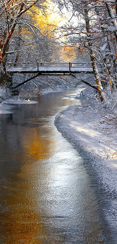 Creative Ideas Winter Photography creative-ideas-winter-photography