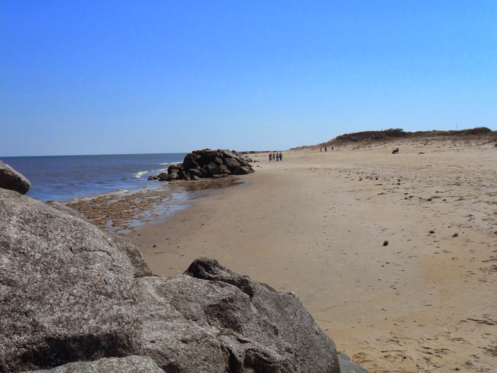 nanadventures: SHAMROCK MARATHON VIRGINIA BEACH PURE FUN nanadventures: SHAMROCK MARATHON VIRGINIA BEACH PURE FUN