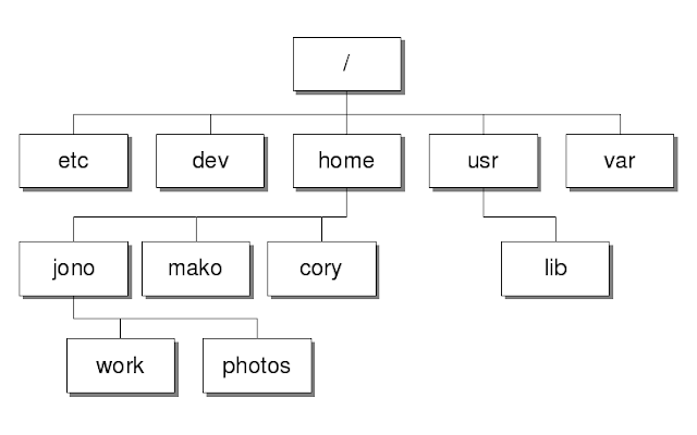 Insights and Strategies for DBA: Linux Directory Structure Insights and Strategies for DBA: Linux Directory Structure