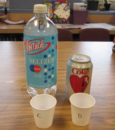 20 Amazing Animal Adaptations Activity Ideas - Teaching Expertise